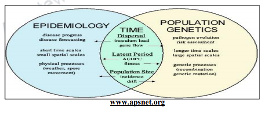 Genetic structure of human populations – Human population genetics