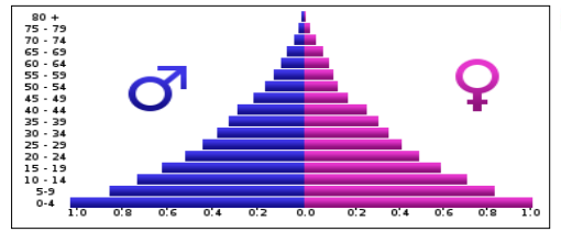 Genetic structure of human populations – Human population genetics
