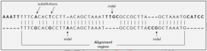 Genetic Polymorphism – Human population genetics