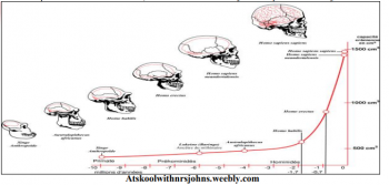 Theories of Evolution – Human population genetics