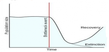 Inbreeding coefficient and Inbreeding depression – Human population ...