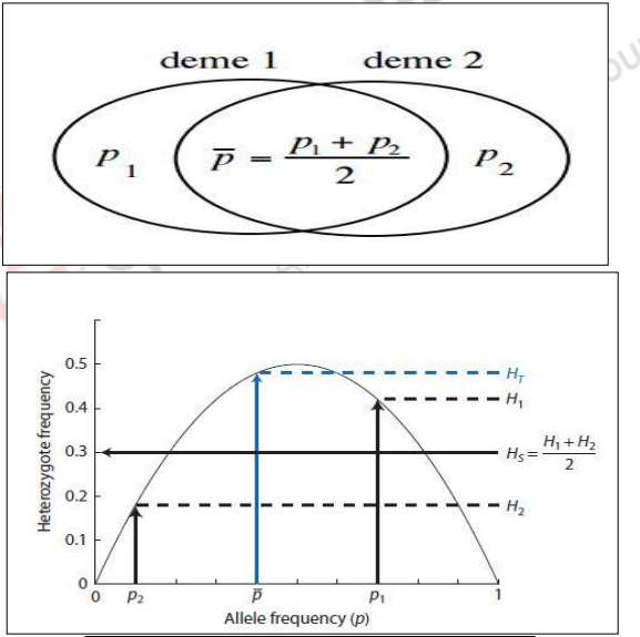 Population Sub-Division – Human population genetics