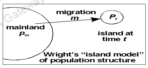 Population Sub-Division – Human population genetics