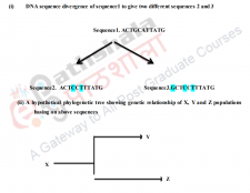 Genetic Distance – Human population genetics