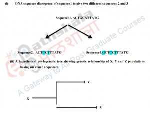 Genetic Distance – Human population genetics
