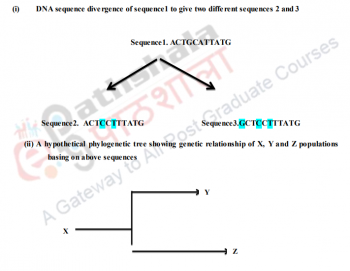 Genetic Distance – Human population genetics