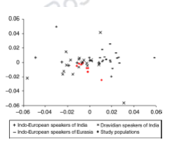 Genetic Distance – Human population genetics