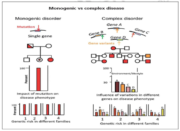 Genetics and Human Health – Human population genetics
