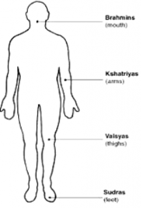 Origin and concept of caste: Various theories – Human population genetics