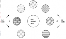 Origin and concept of caste: Various theories – Human population genetics