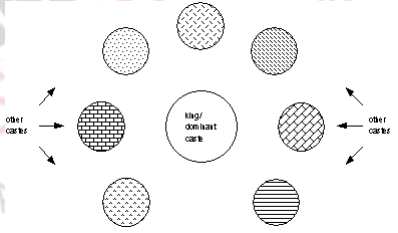 Origin and concept of caste: Various theories – Human population genetics