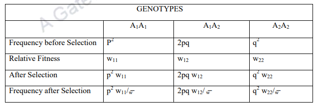 Models of Natural Selection – Human population genetics