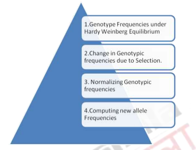Models of Natural Selection – Human population genetics