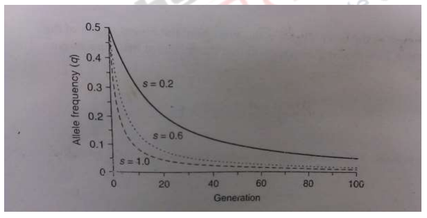 Models of Natural Selection – Human population genetics