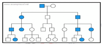 Mendelian Inheritances in Man – Human population genetics