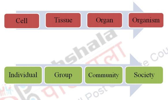 Functionalism: Malinowsk – Theories and methods in social cultural ...