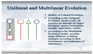 Evolutionism – Theories and methods in social cultural Anthropology