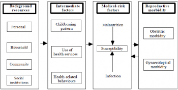 Morbidity: Basic concepts and measures – Demographic Anthropology