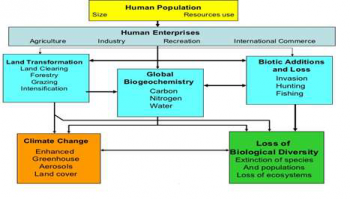Impact of Population Growth on Environment – Demographic Anthropology