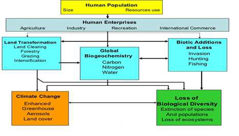 Impact of Population Growth on Environment – Demographic Anthropology