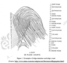 Dermatoglyphics – Research Methods and Field work