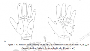 Dermatoglyphics – Research Methods and Field work