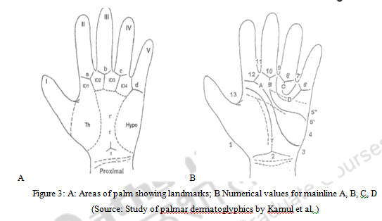 Dermatoglyphics – Research Methods and Field work