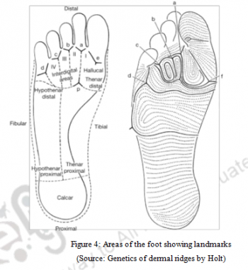 Dermatoglyphics – Research Methods and Field work