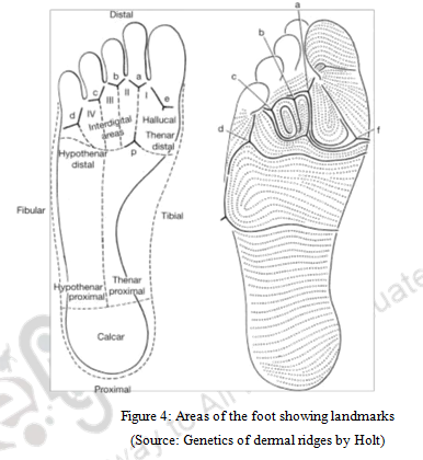 Dermatoglyphics – Research Methods and Field work