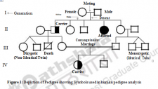 Importance and Implications of Pedigree and Genealogy – Research ...