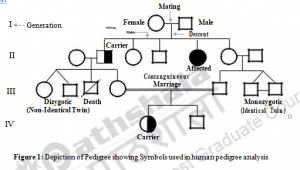 Importance and Implications of Pedigree and Genealogy – Research ...