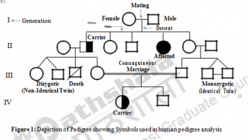 Importance and Implications of Pedigree and Genealogy – Research ...