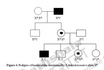 Importance and Implications of Pedigree and Genealogy – Research ...