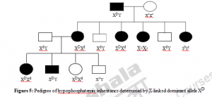 Importance and Implications of Pedigree and Genealogy – Research ...
