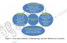 Preparation for Field Work – Research Methods and Field work