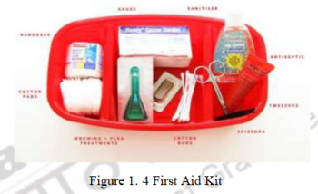 Preparation for Field Work – Research Methods and Field work