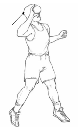 Biomechanics of sports and physical exercise – Applied Anthropology