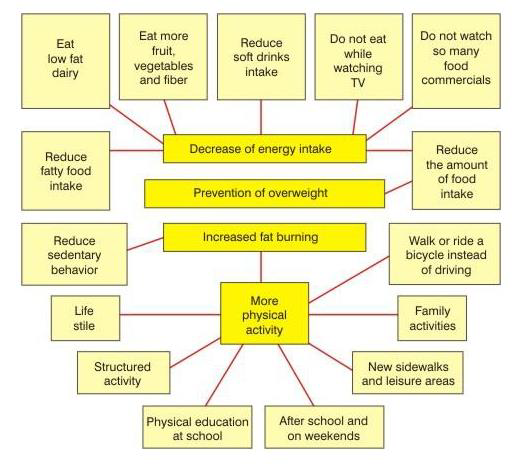 Management of childhood obesity – Applied Anthropology