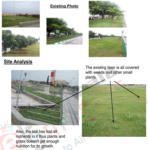 Case Study _ Pondicherry Beach / Beach Development – Urban landscape design