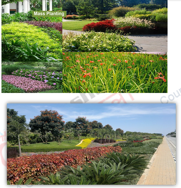 Case Study _ Pondicherry Beach / Beach Development – Urban landscape design