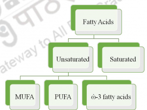 Fatty Acids – Structure and function of biomolecules (lipids and ...