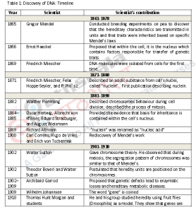 Introduction to Nucleic acids -Historical Perspective – Structure and ...
