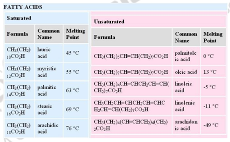 Fatty Acids – Structure and function of biomolecules (lipids and ...