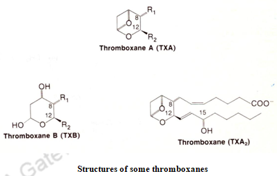 Fatty Acids – Structure and function of biomolecules (lipids and ...