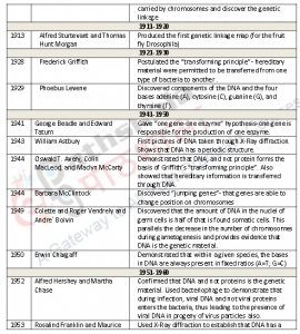 Introduction to Nucleic acids -Historical Perspective – Structure and ...