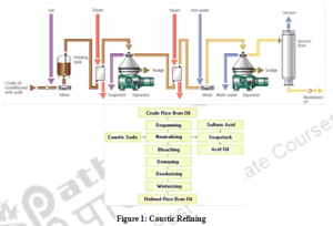 Neutral fats I – Structure and function of biomolecules (lipids and ...