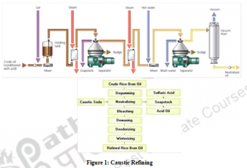 Neutral fats I – Structure and function of biomolecules (lipids and ...