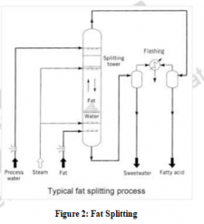 Neutral fats I – Structure and function of biomolecules (lipids and ...