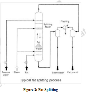 Neutral fats I – Structure and function of biomolecules (lipids and ...