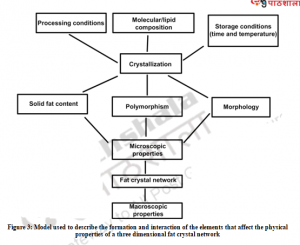 Neutral fats I – Structure and function of biomolecules (lipids and ...